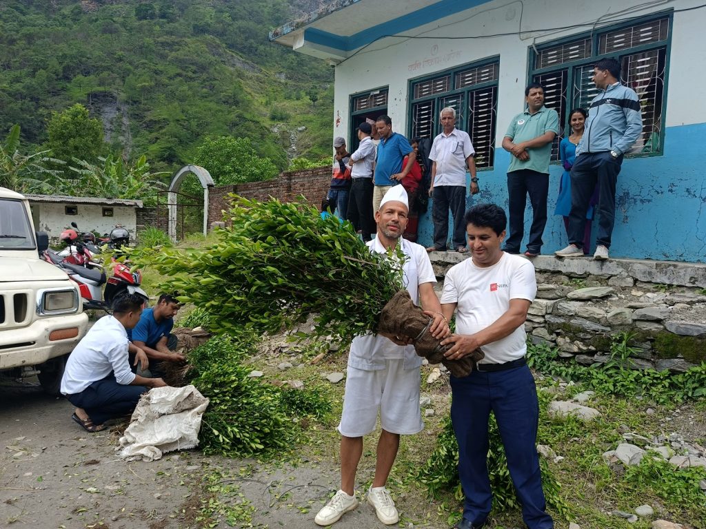 जलजलाका कृषकलाई सुन्तला जात फलफुलका बिरुवा वितरण – धौलागिरी खबर